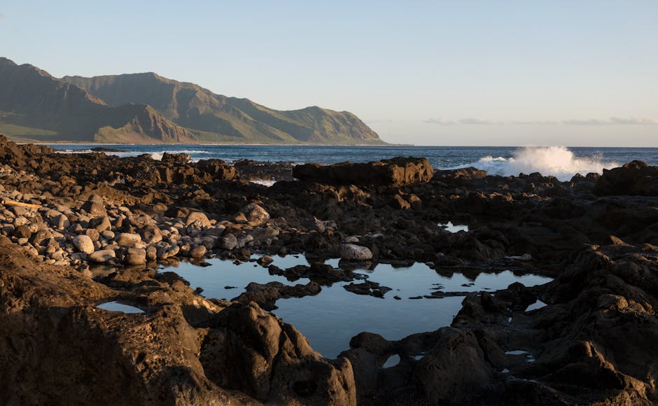 Sunday 20 October 2024 Twenty-second Sunday after Pentecost – Year B ...