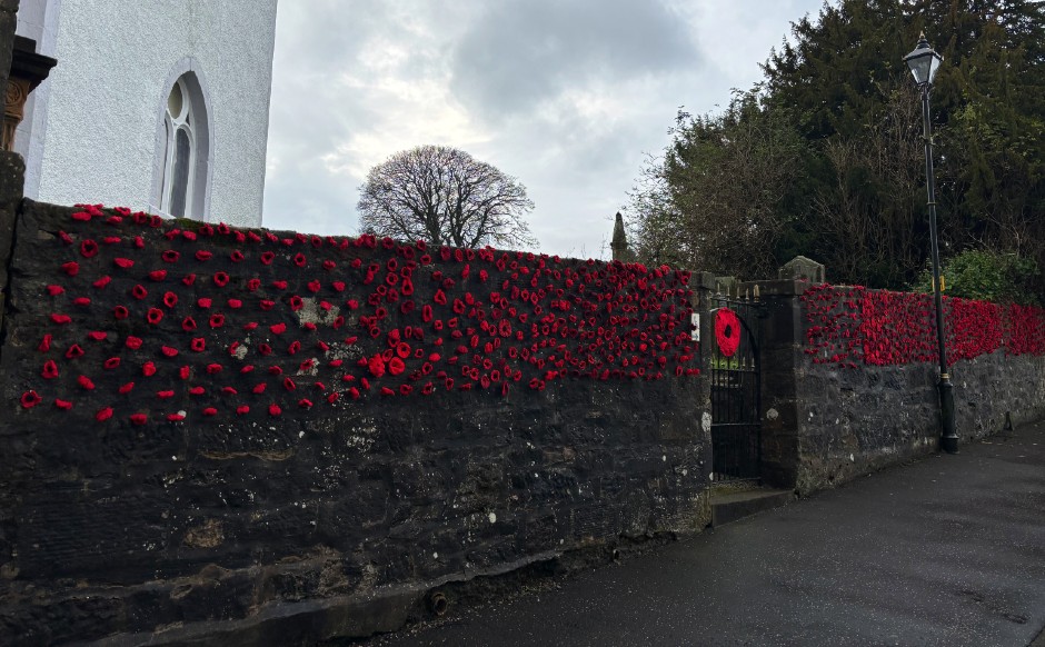 Stunning display of 15,000 poppies to mark Remembrance Day | The Church ...